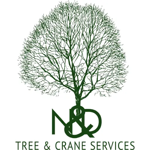 Top Tree Service in Parker, CO - N&D Tree - 720-793-5273